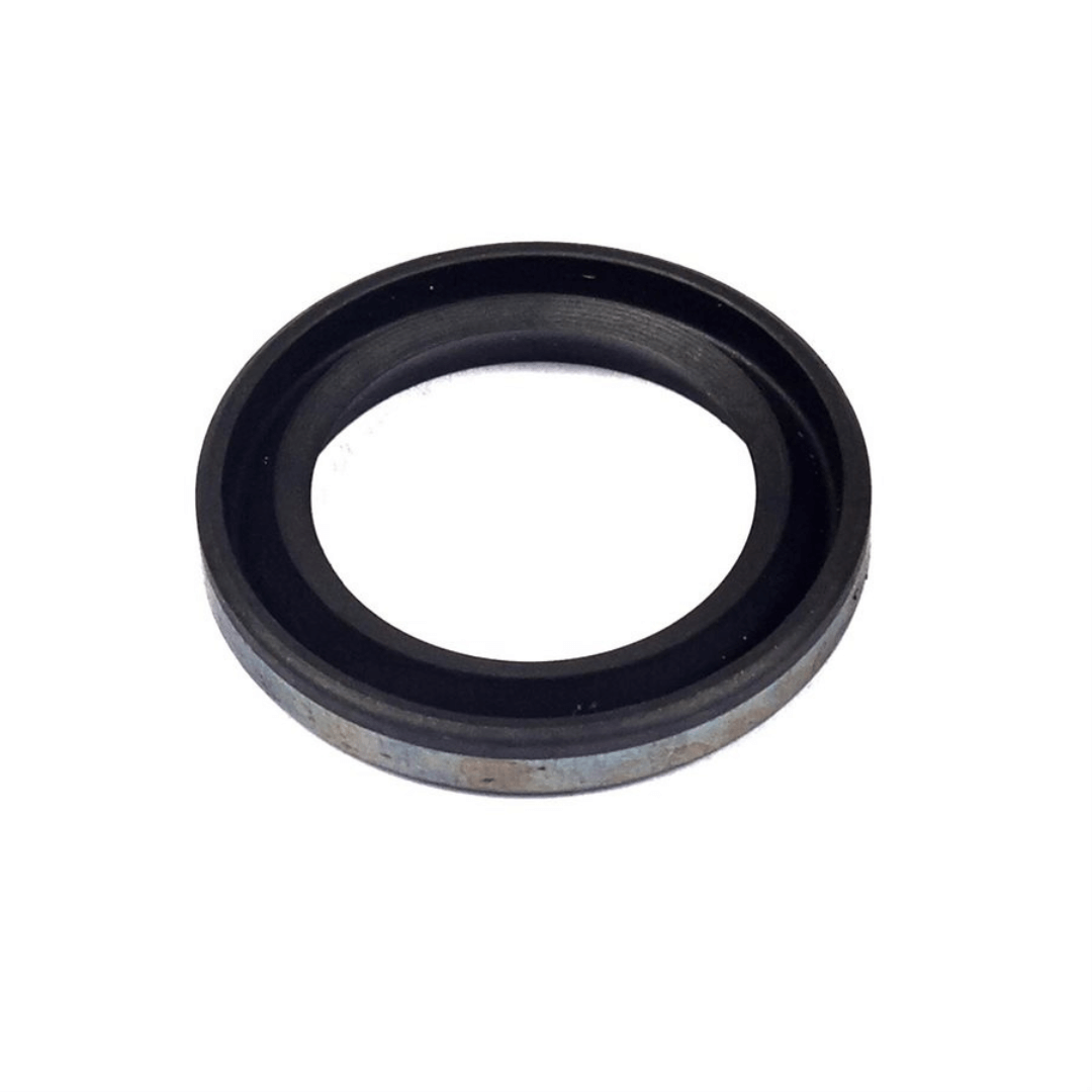 Oil Seal (Magneto Side) | Briggs 206 Crankcase Accessories | Point Karting